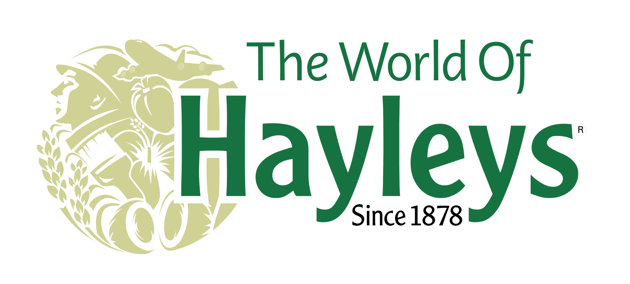 About us - Hayleys PLC